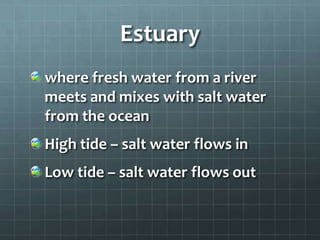 Aquatic Ecosystems | PPTX | Fish and Aquariums | Pets