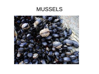 Aquatic ecosystems | PDF