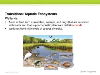 Aquatic_Ecosystems grade 9 biology mcgraw hill ngss.pptx