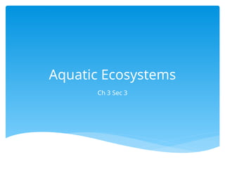 Aquatic Ecosystems PowerPoint Presentation | PPTX
