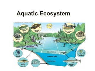 Aquatic ecosystemsppt | PPTX