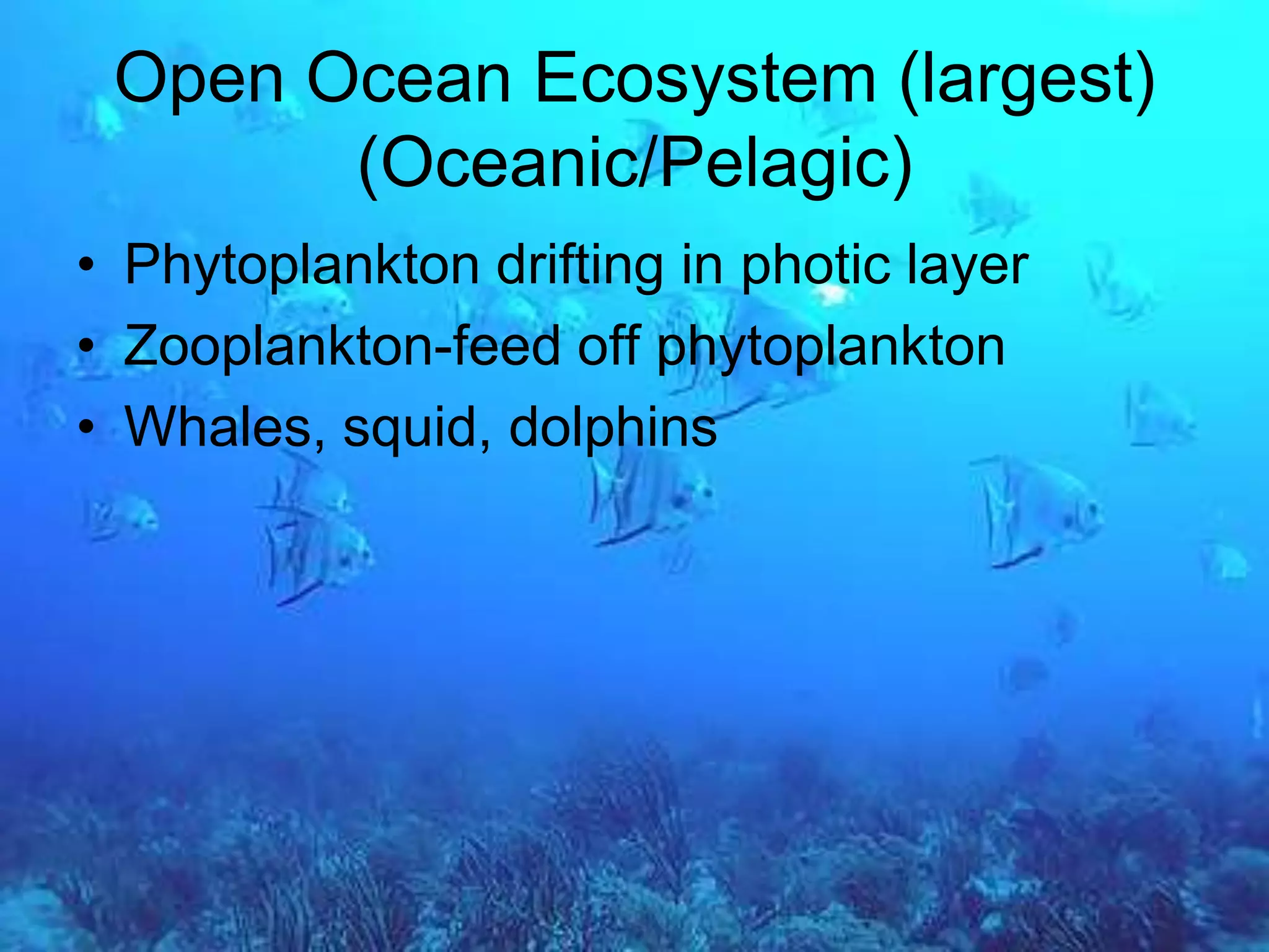 Aquatic ecosystems revised | PPT