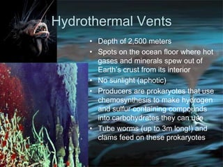 Aquatic ecosystems revised | PPTX