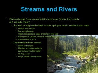 Aquatic ecosystems revised | PPT