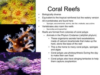 Aquatic ecosystems revised | PPTX