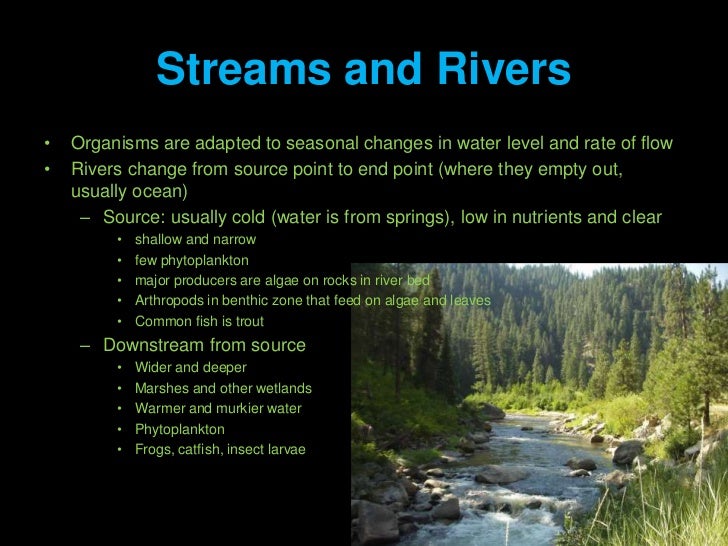 Aquatic ecosystems revised