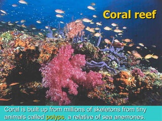 Aquatic Environment | PPT | Polar Travel | Travel Locations