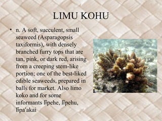 Aquatic food plants | PPT