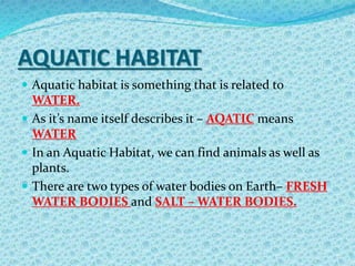 Aquatic Habitat