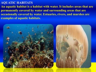 THE LIVING ORGANISMS — CHARACTERISTICS AND HABITATS-2 AQUATIC HABITATS ...