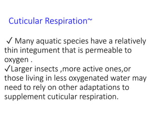 Aquatic Insects | PPTX