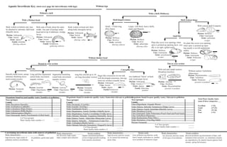 Dichotomous key for aquatic invertebrate dichotomies key | PPT