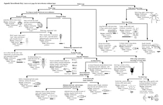 Dichotomous key for aquatic invertebrate dichotomies key | PPT
