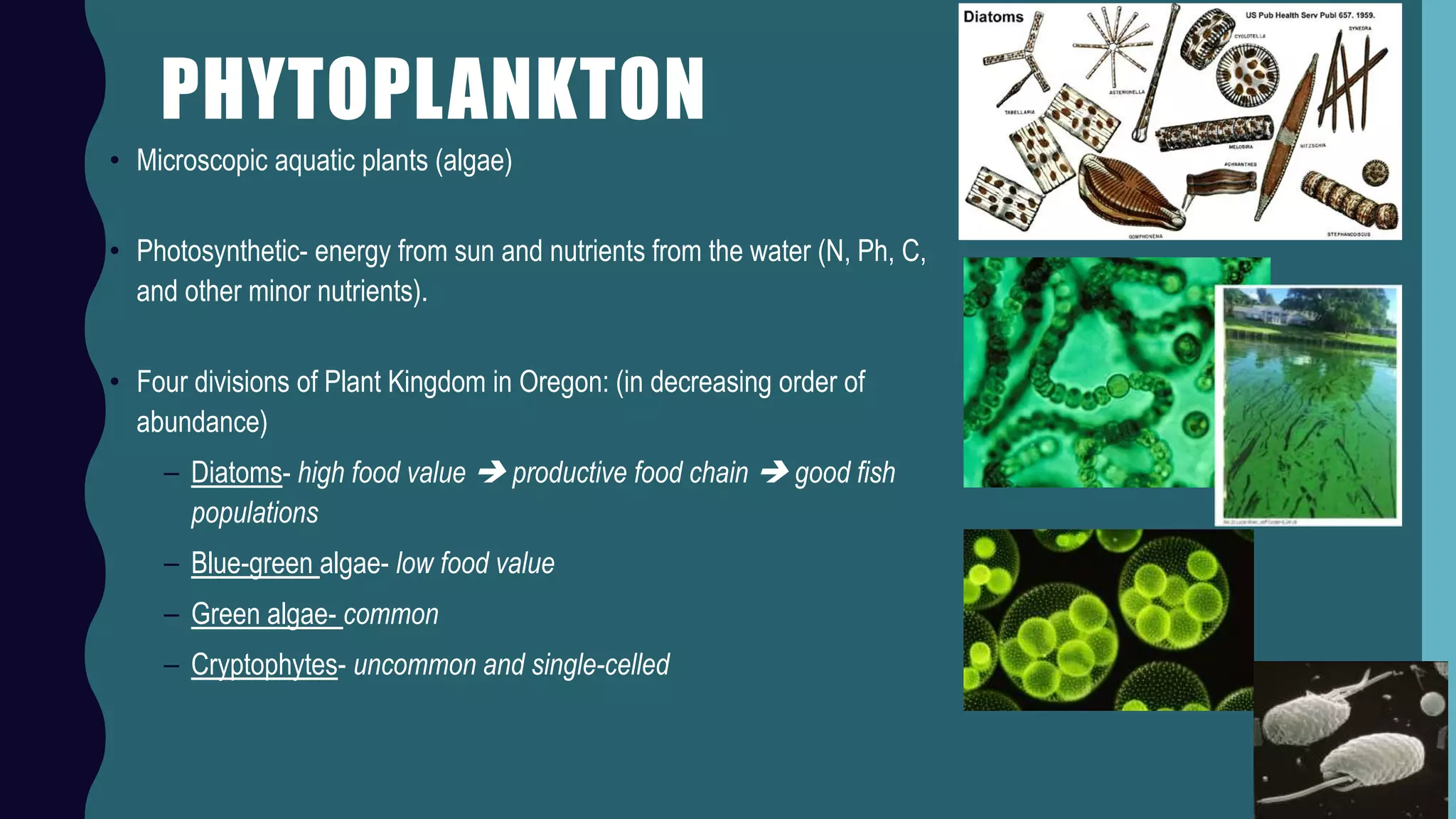 Aquatic life ppt | PPTX