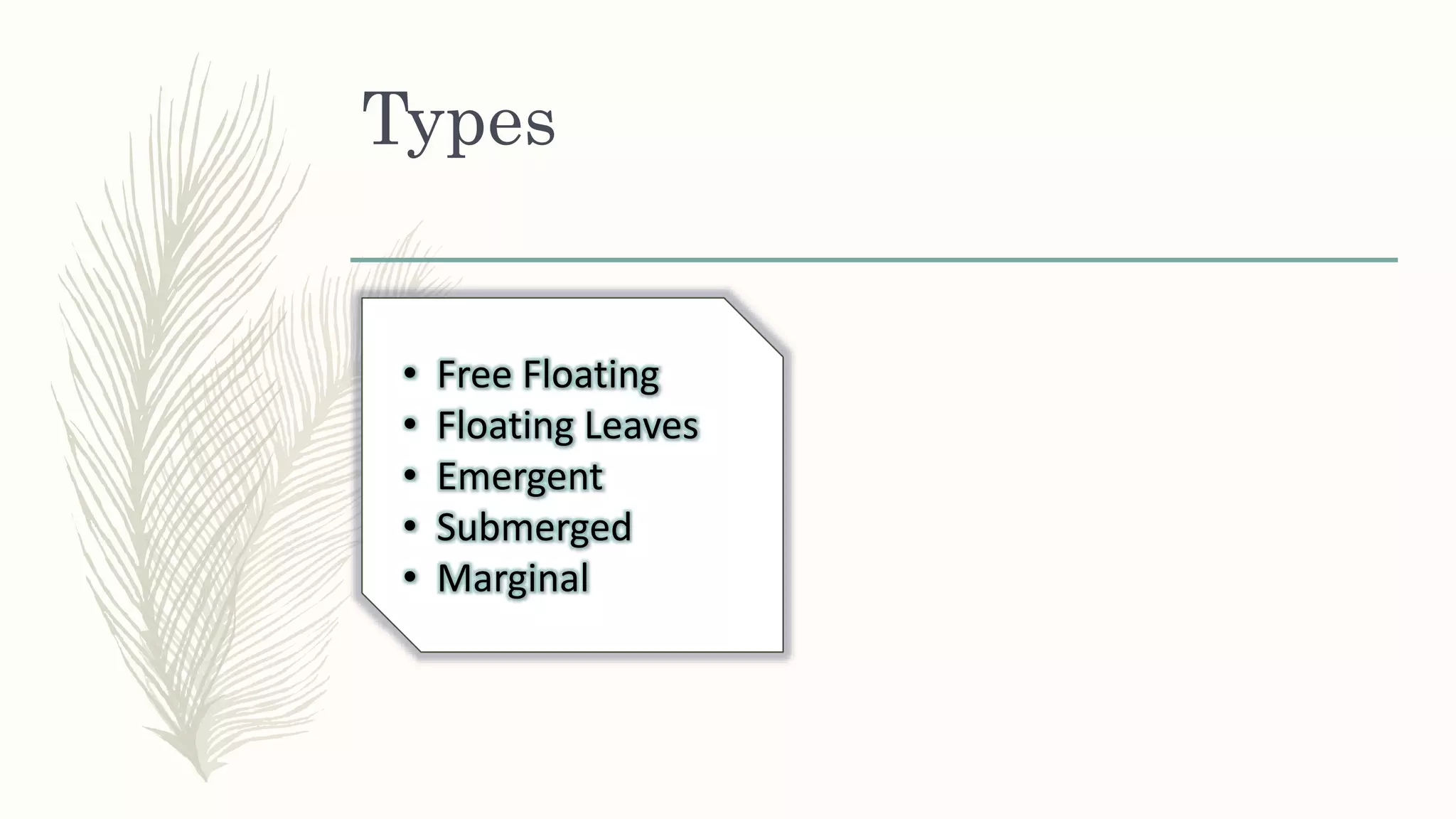 Aquatic macrophytes | PPTX
