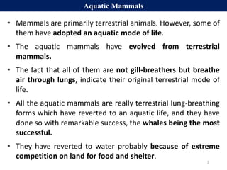 Aquatic mammals.pdf..................... | PDF
