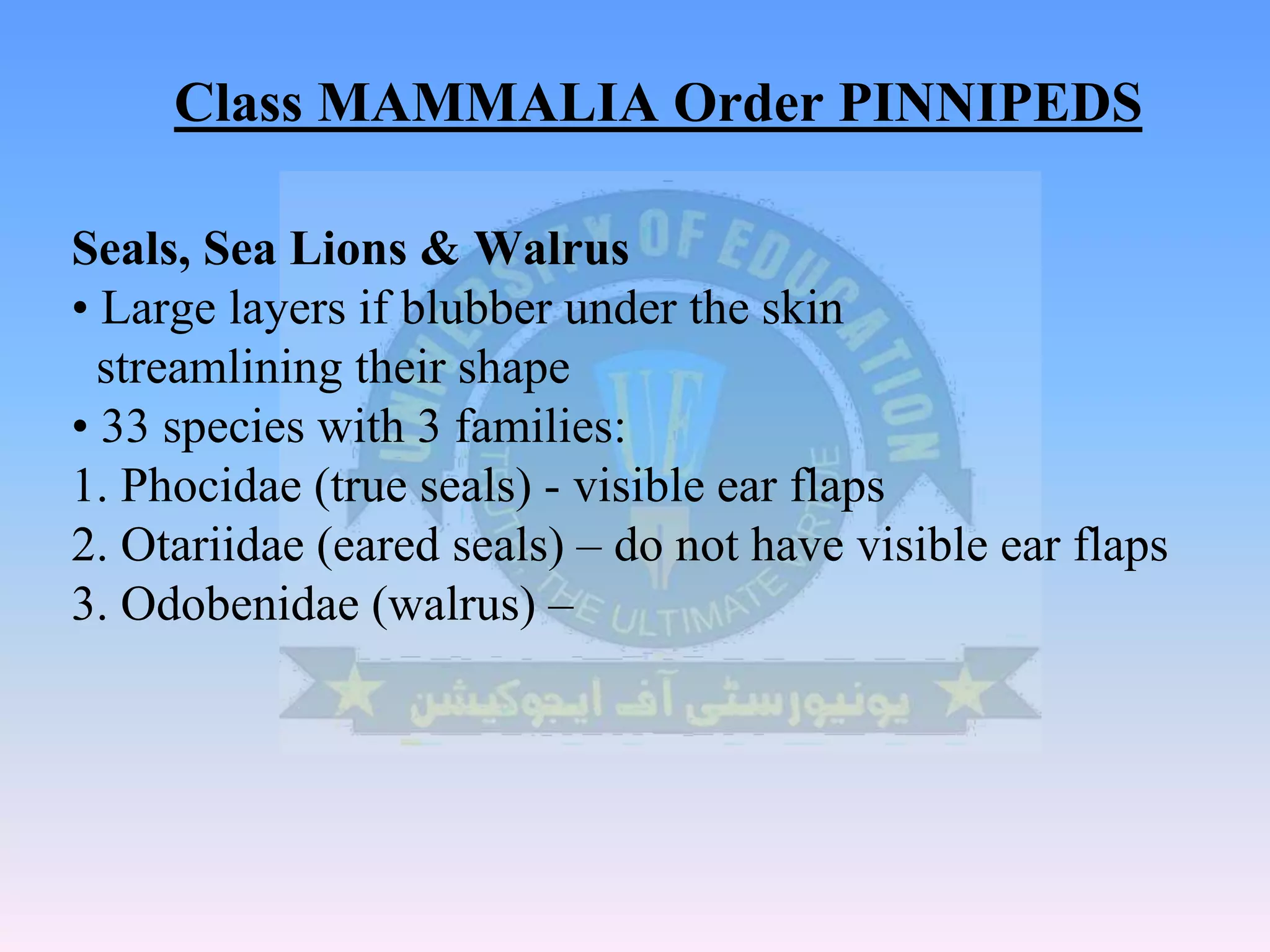 Aquatic mammals and their distributions | PPTX