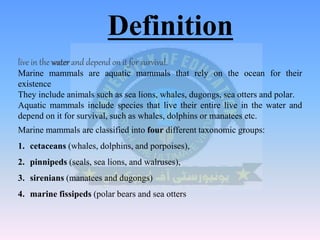 Aquatic mammals and their distributions | PPTX