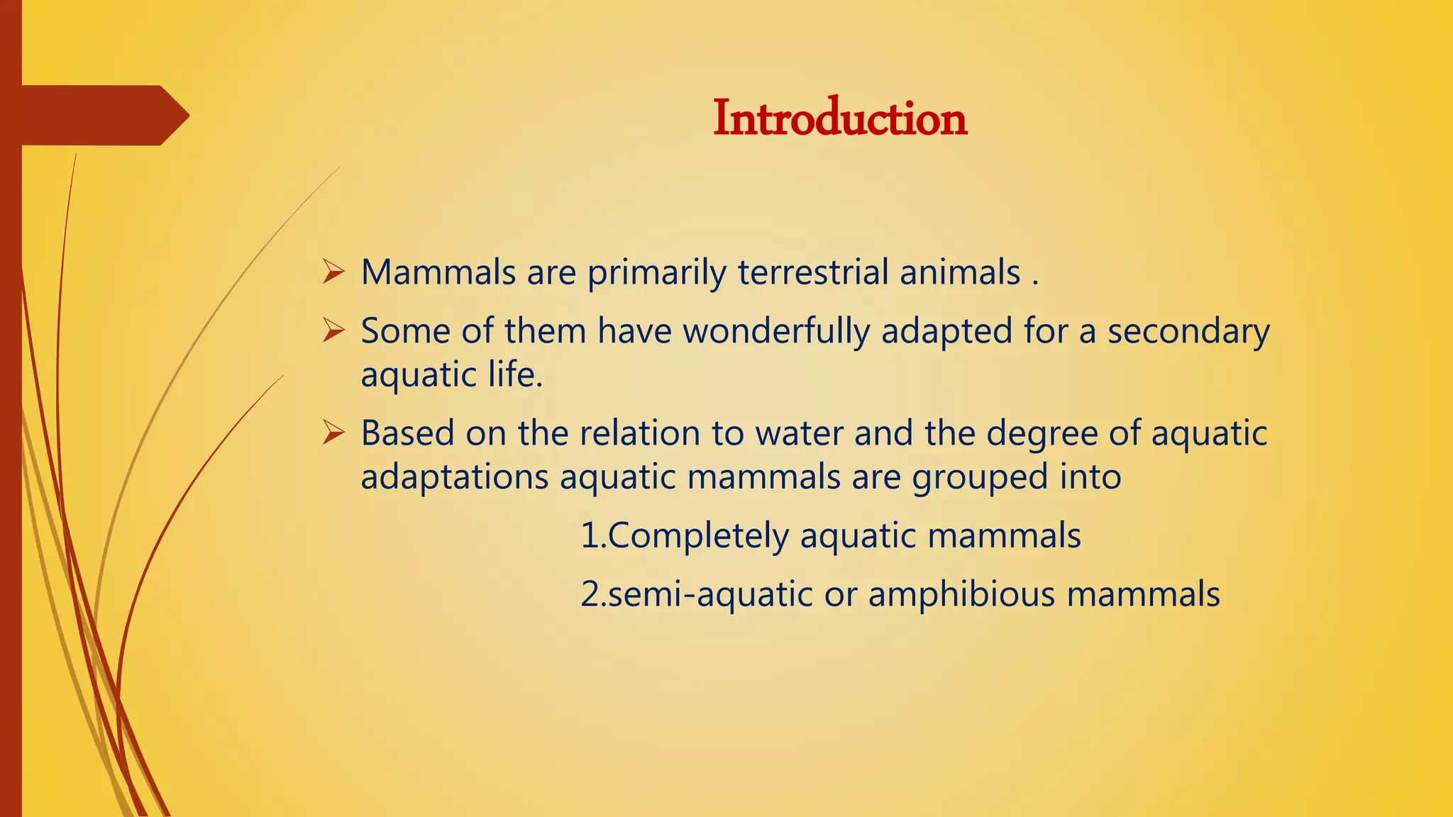 Aquatic mammals & their adaptation.fully aquatic mammal and amphibian aquatic mammals.evolution ...