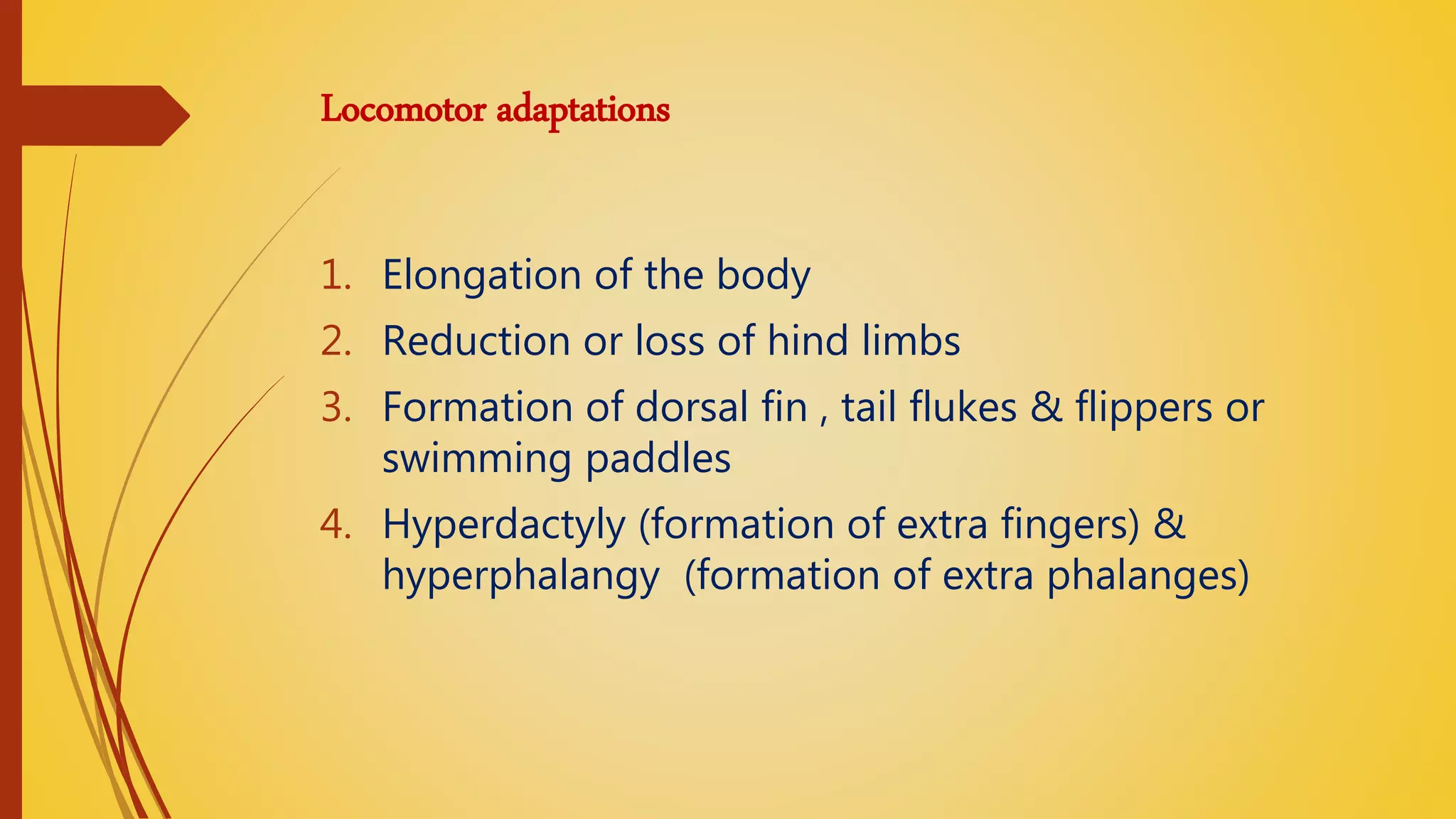 Aquatic mammals & their adaptation.fully aquatic mammal and amphibian aquatic mammals.evolution ...