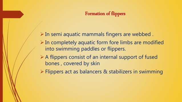 Aquatic mammals & their adaptation.fully aquatic mammal and amphibian ...