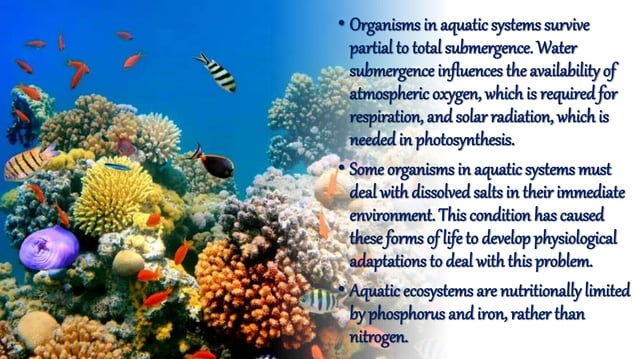 Aquatic management | PPTX | Agriculture | Industries