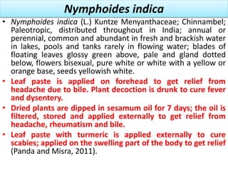 Aquatic medicinal plants B.pptx