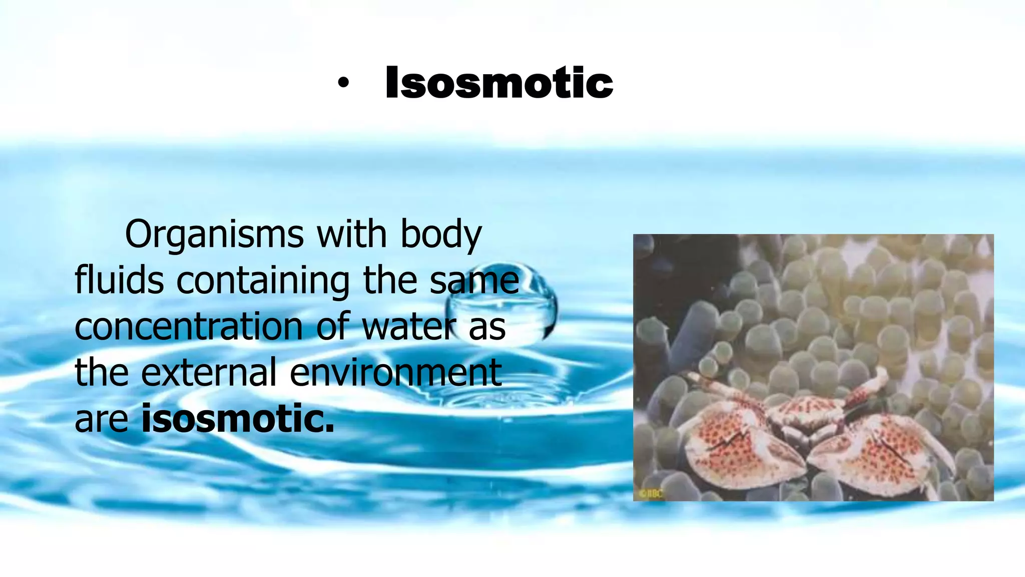 Aquatic movements & Water Movement between Soil and Plant | PPT