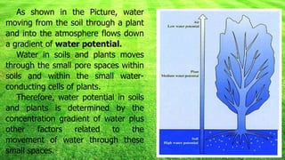 Aquatic movements & Water Movement between Soil and Plant | PPT