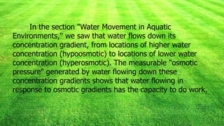 Aquatic movements & Water Movement between Soil and Plant | PPT
