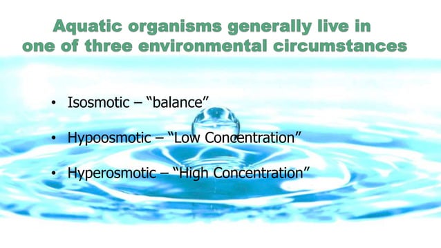 Aquatic movements & Water Movement between Soil and Plant | PPT