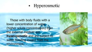 Aquatic movements & Water Movement between Soil and Plant | PPT