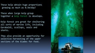 Aquatic plants | PPTX