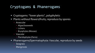 Aquatic plants | PPTX