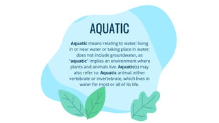 AQUATICS+1.pptx | Scuba Diving | Extreme Sports