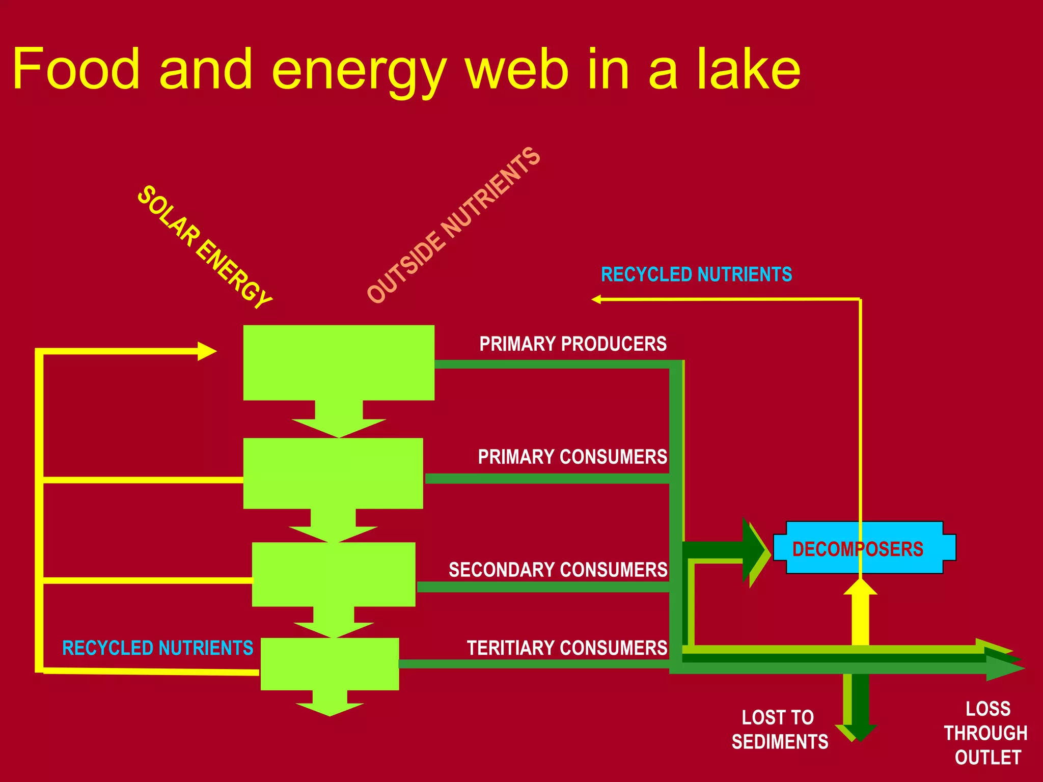 Aquatic Systems An Overview | PPT