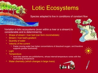Aquatic Systems An Overview | PPT