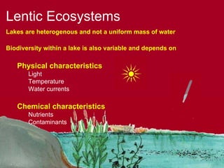 Aquatic Systems An Overview | PPT