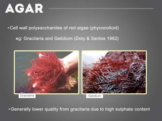 Aquatic talk: Agar, agarose and agarase | PPTX
