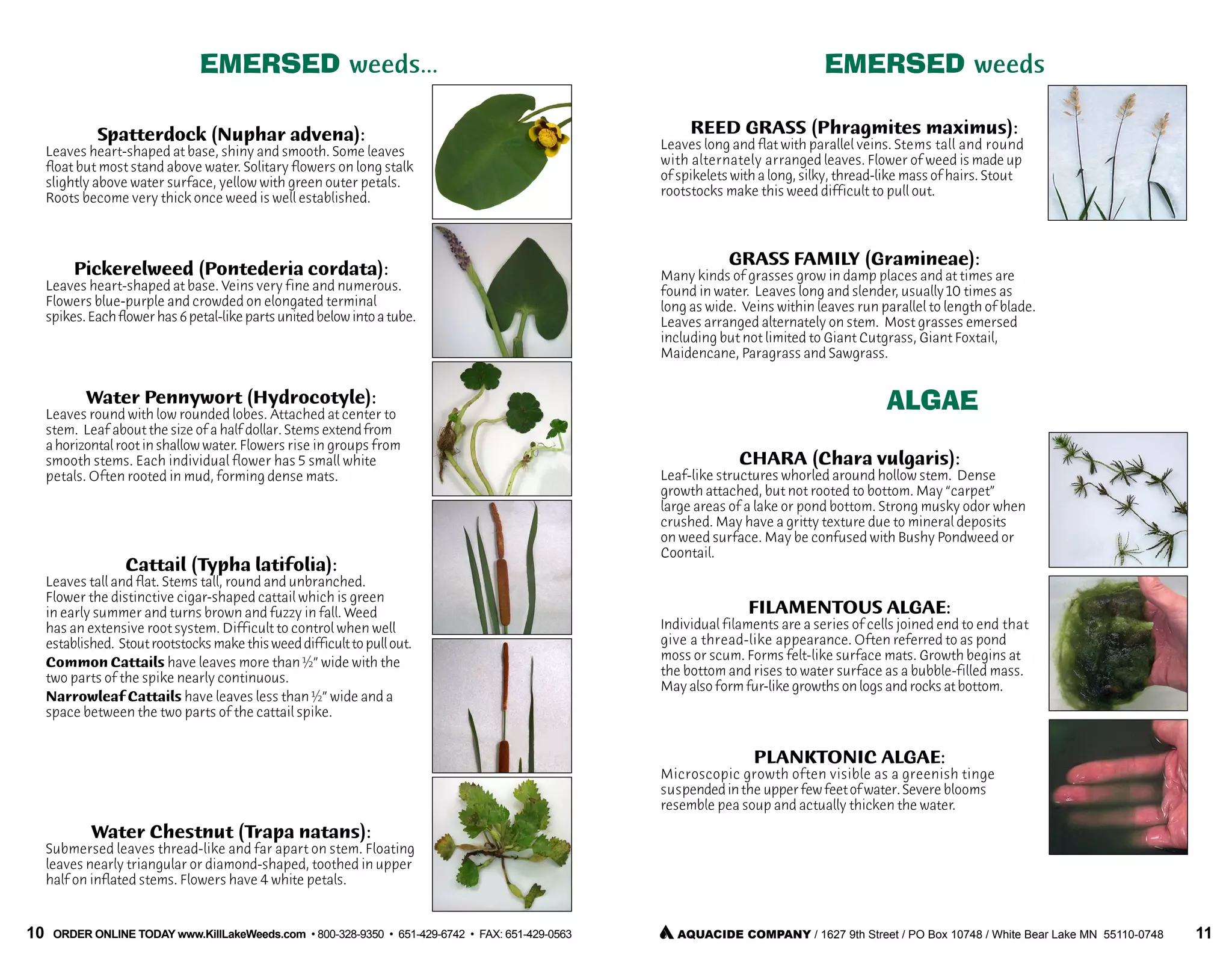 Aquatic weed control, Lake weed control products, Lake weed control ...