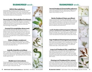 Aquatic weed control, Lake weed control products, Lake weed control ...