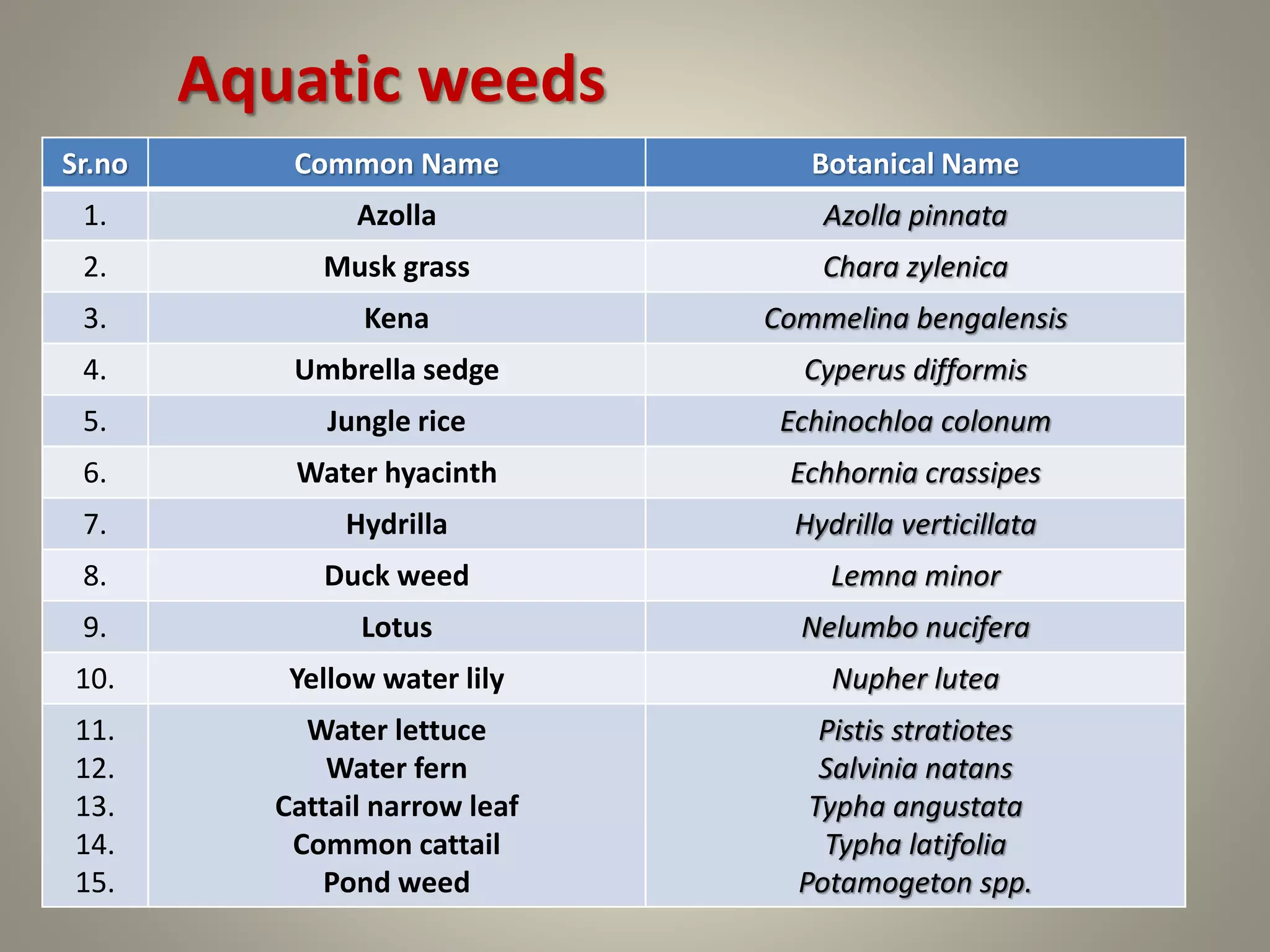 Aquatic weed management | PPTX
