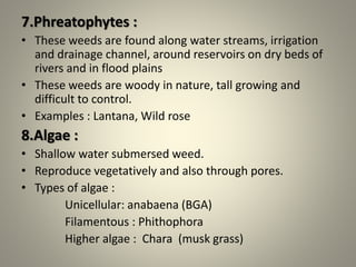 Aquatic weed management | PPTX