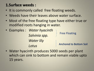 Aquatic weed management | PPTX