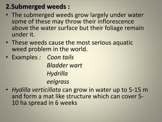 Aquatic weed management | PPTX