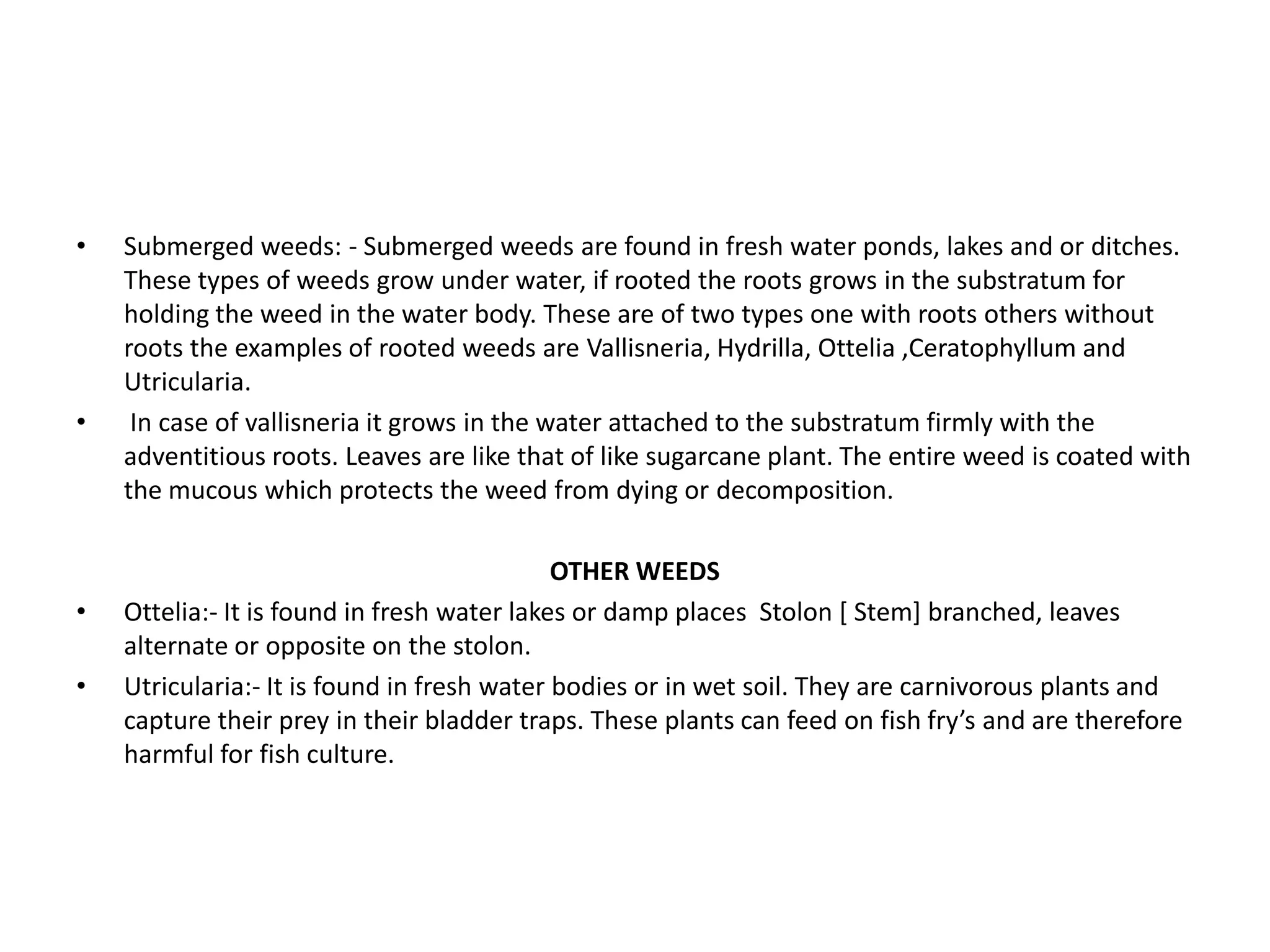 Aquatic weeds. classification, characterspptx.pptx1 | PPTX