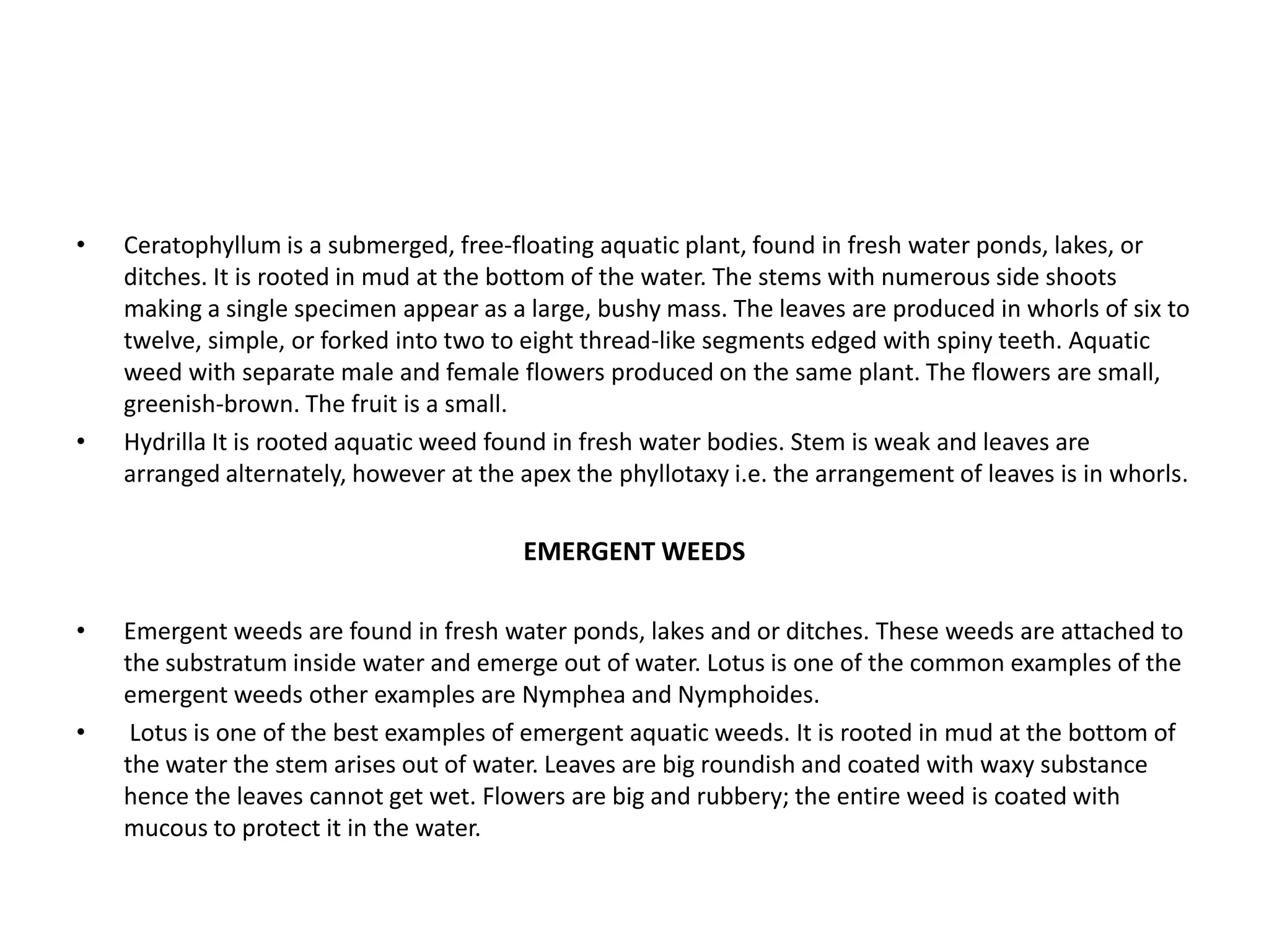 Aquatic weeds. classification, characterspptx.pptx1 | PPTX
