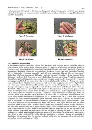 Aquatic weeds diversity of Bangladesh Agricultural University Campus ...