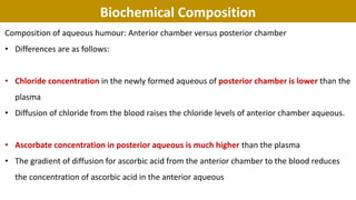 The Aqueous Humour | PDF