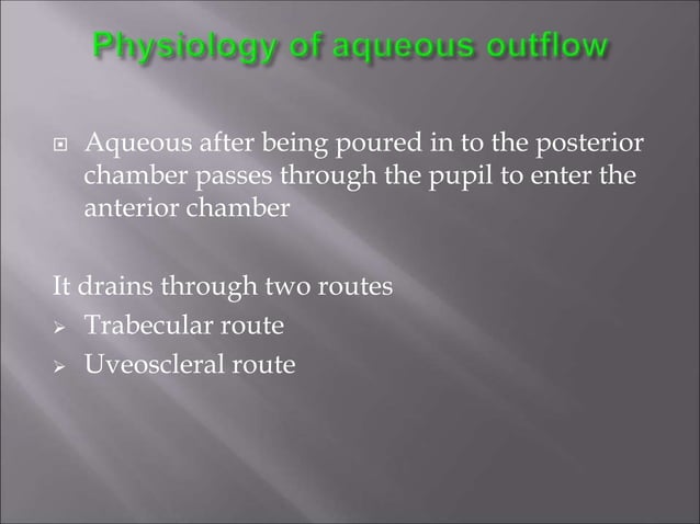 AQUEOUS 1.anatomy of eye by dr aznat ullah | PPT